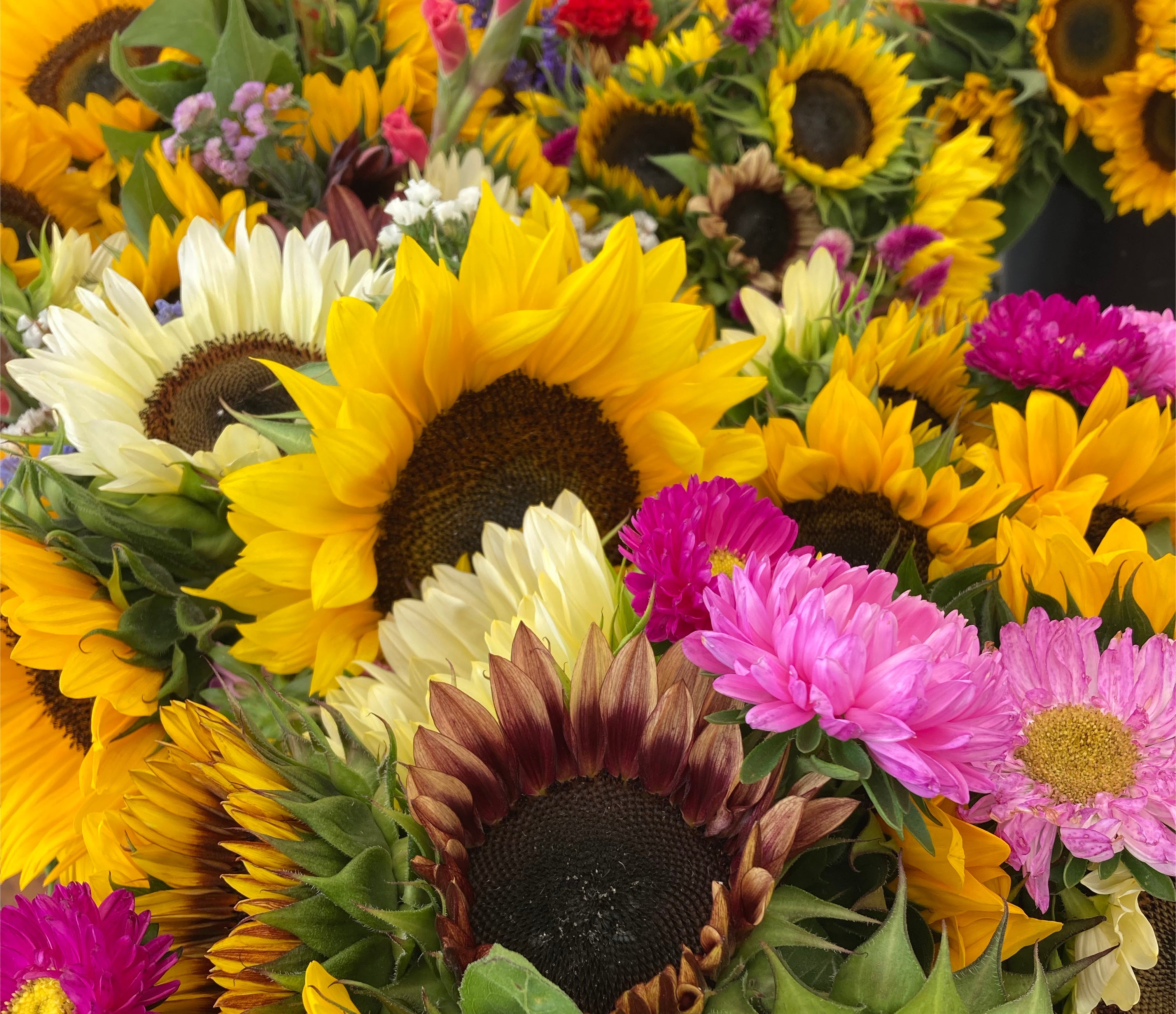 Fun Fall Jaunts: The North Fork – Candy Shop Vintage